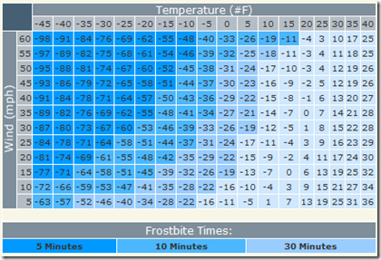 Avian Flu Diary: Wind Chill, Hypothermia & Other Cold Weather Hazards